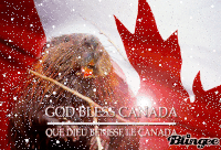 Canada GIFs - Get the best gif on GIFER