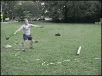 Friendly GIFs - Get the best gif on GIFER