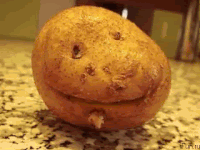 Potatoes GIFs - Get the best gif on GIFER