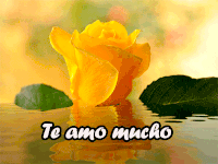 Phrasing GIFs - Get the best gif on GIFER