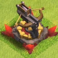 Showcase GIFs - Get the best gif on GIFER