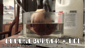 What molarity is stomach acid GIF - Conseguir o melhor gif em GIFER