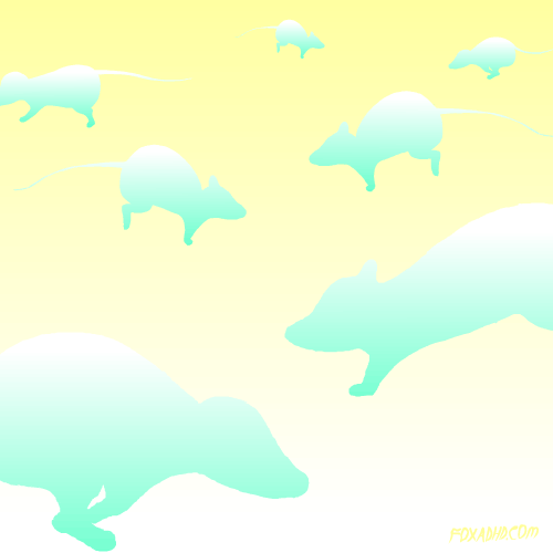 Stoats GIF - Conseguir o melhor gif em GIFER