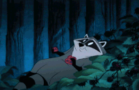 Meeko GIFs - Get the best gif on GIFER