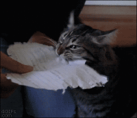 Homeworks GIFs - Get the best gif on GIFER