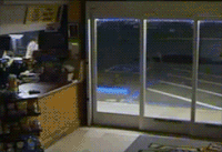 Burglars GIFs - Get the best gif on GIFER