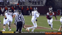 Hoos GIFs - Get the best gif on GIFER