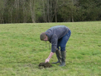 Firecracker GIFs - Get the best gif on GIFER