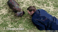 Wombats GIFs - Get the best gif on GIFER