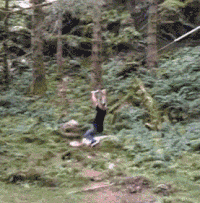 Zipline GIFs - Get the best gif on GIFER