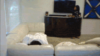 Mind control GIFs - Get the best gif on GIFER