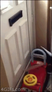 Reverse GIFs - Get the best gif on GIFER