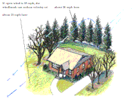 Arbre GIFs - Obtenez le meilleur gif sur GIFER