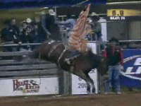 Shrimps GIFs - Get the best gif on GIFER