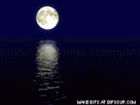 Moonlight GIFs - Get the best gif on GIFER