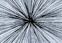 Plaid GIFs - Get the best gif on GIFER