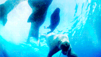 Nudge GIFs - Get the best gif on GIFER
