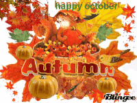 October GIFs - Get the best gif on GIFER