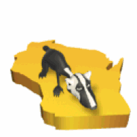 Badger GIFs - Get the best gif on GIFER