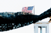 Zdt GIFs - Get the best gif on GIFER