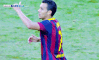 Pedro GIFs - Get the best gif on GIFER