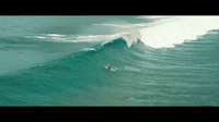 Surfing GIFs - Get the best gif on GIFER