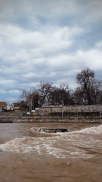 River GIFs - Get the best gif on GIFER