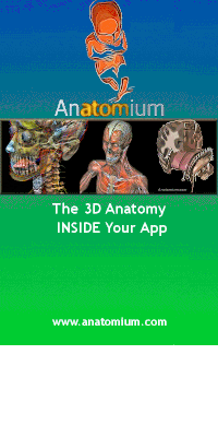 Anatomy GIFs - Get the best gif on GIFER