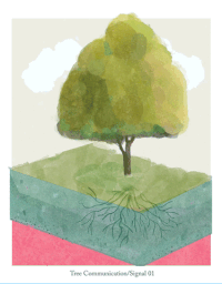 Ecosystems GIFs - Get the best gif on GIFER