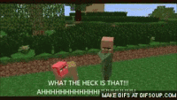 Villager GIFs - Get the best gif on GIFER