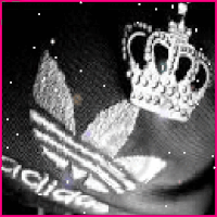 Adidas GIFs - Get the best gif on GIFER