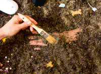 Temporary GIFs - Get the best gif on GIFER