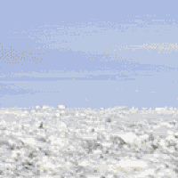 Antartica GIFs - Get the best gif on GIFER