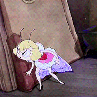 Moths GIFs - Get the best gif on GIFER