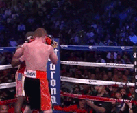 Canelo GIFs - Get the best gif on GIFER