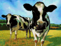 Earthworm GIFs - Get the best gif on GIFER