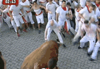 Toro GIFs - Get the best gif on GIFER