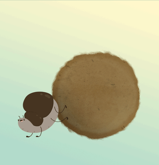 Dungbeetle GIFs - Get the best gif on GIFER