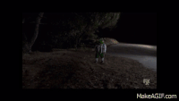 Paddy GIFs - Get the best gif on GIFER
