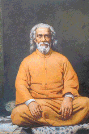 Yogopanda гифки, анимированные GIF изображения yogopanda - скачать гиф ...