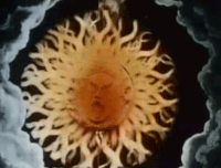 Spicy GIFs - Get the best gif on GIFER