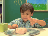Ham GIFs - Get the best gif on GIFER