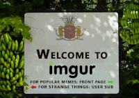 Risque GIFs - Get the best gif on GIFER