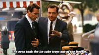 True lies GIFs - Obtenez le meilleur gif sur GIFER
