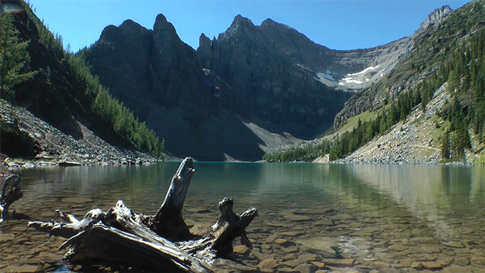 Biome GIFs - Get the best gif on GIFER