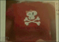 Webcam GIFs - Get the best gif on GIFER