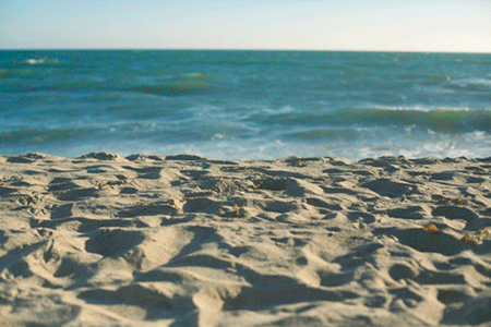 California long beach GIFs - Obtenez le meilleur gif sur GIFER