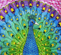 Peacock GIFs - Get the best gif on GIFER