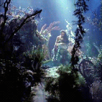 Mermaid GIFs - Get the best gif on GIFER