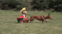 Pulling GIFs - Get the best gif on GIFER